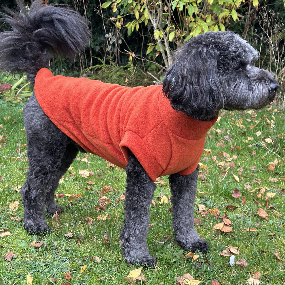 Fleece Dog Tankie – Pawsome Suits