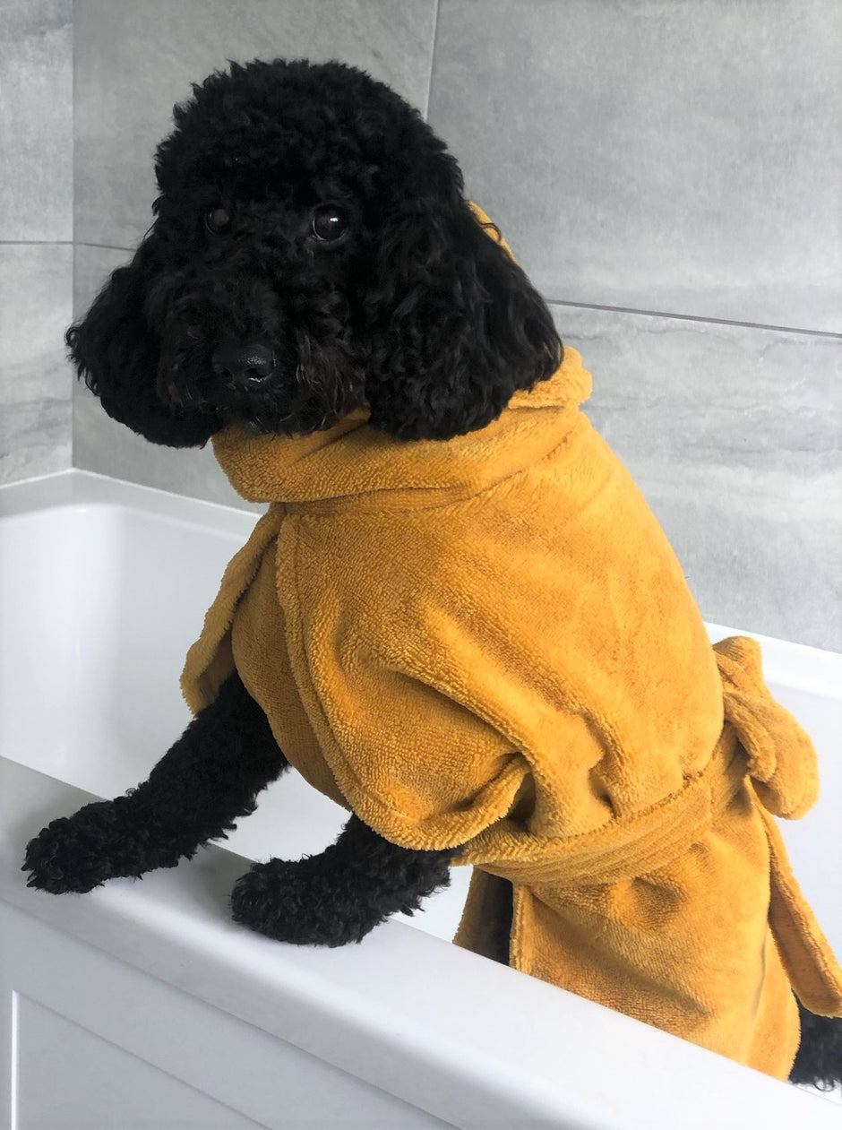 Pawsome Suits, Dog Coats, Jumpers & Fleeces