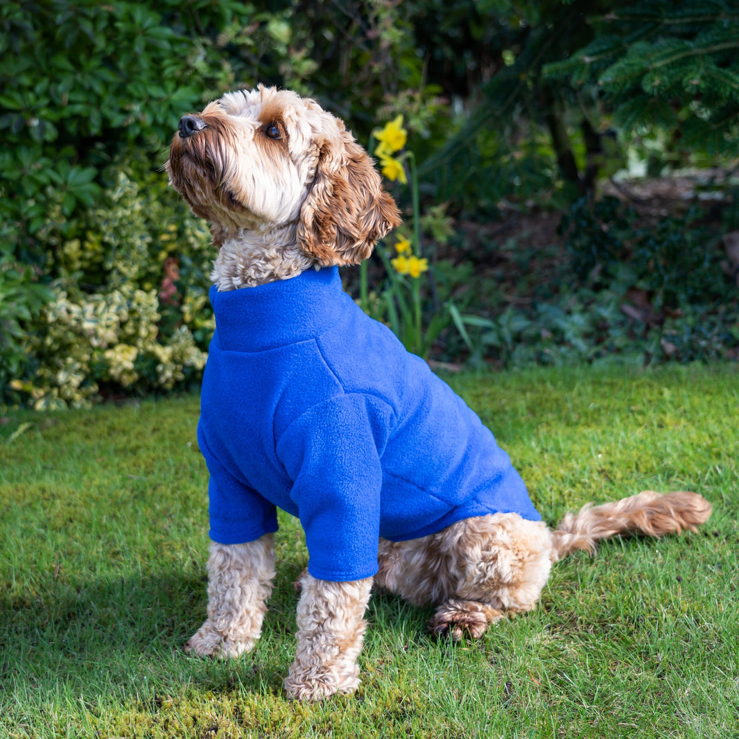 Pawsome Suits, Dog Coats, Jumpers & Fleeces