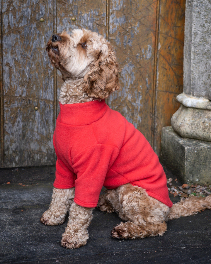 Pawsome Suits, Dog Coats, Jumpers & Fleeces